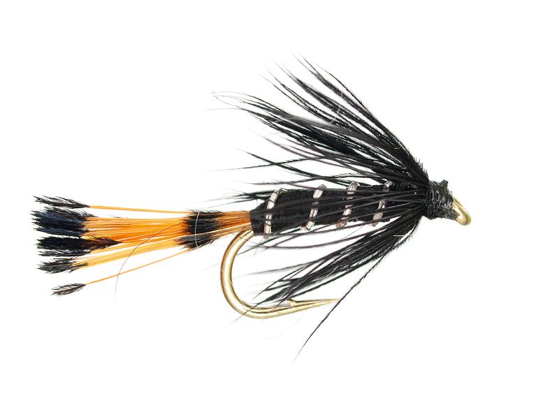 SKB Black Pennell Fly: Timeless, Versatile Pattern
