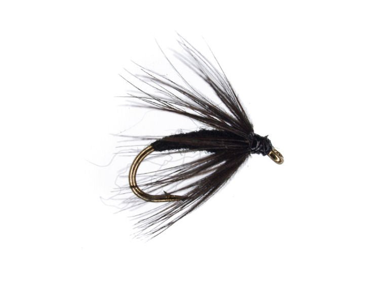 SKB Black Spider Fly for Trout Fishing