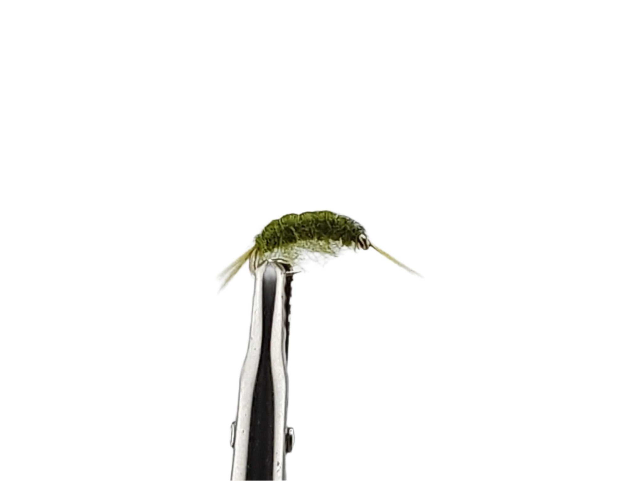 Shrimp - SKB Fishing Gear